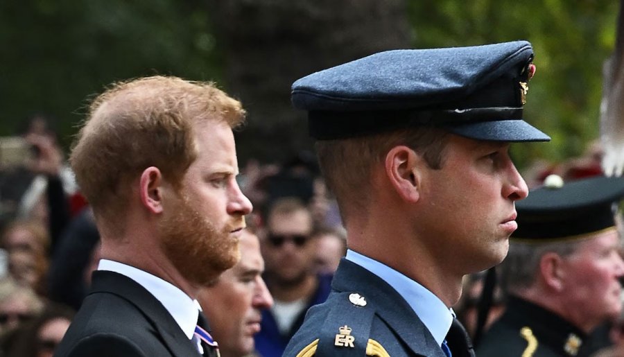 Prince William reportedly wants to financially block Prince Harry from ...