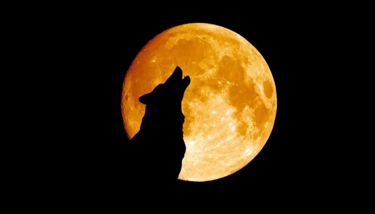 Wolf Moon: glimpses of first supermoon of 2026 illuminating skies ...