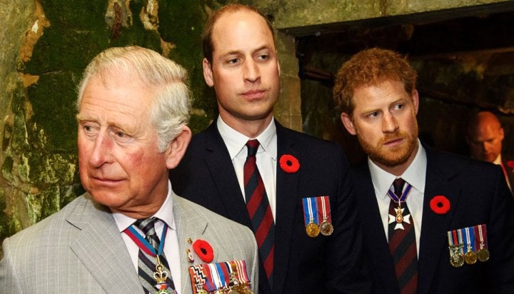 Harry deserves top protection as King Charles’ son, Prince William’s ...