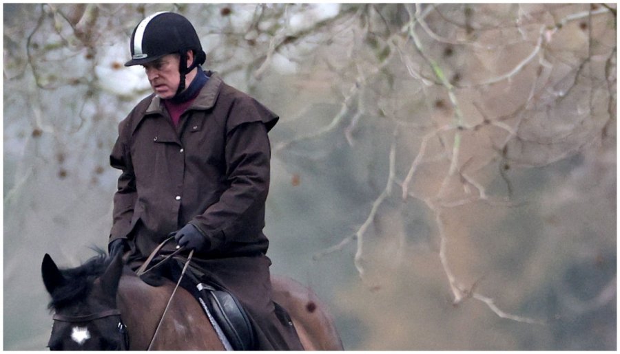 Andrew’s unofficial biographer lays down what his life’s like behind ...