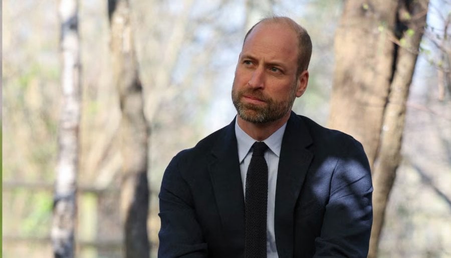 Prince William is ‘forced’ to sit through therapy sessions? Inside his ...