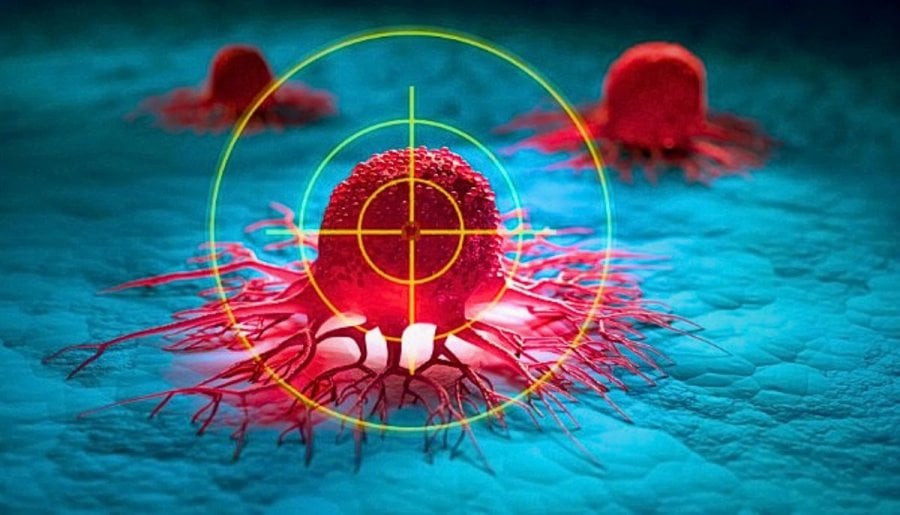Vitamin B2 may help cancer cells survive, scientists reveals dark side