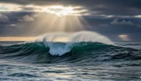 Tragedy in Western Australia: Man dies after shark bite off the coast ...