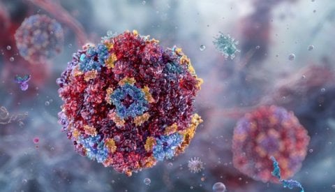 Vomiting virus spreading across US: Key symptoms and precautions to ...