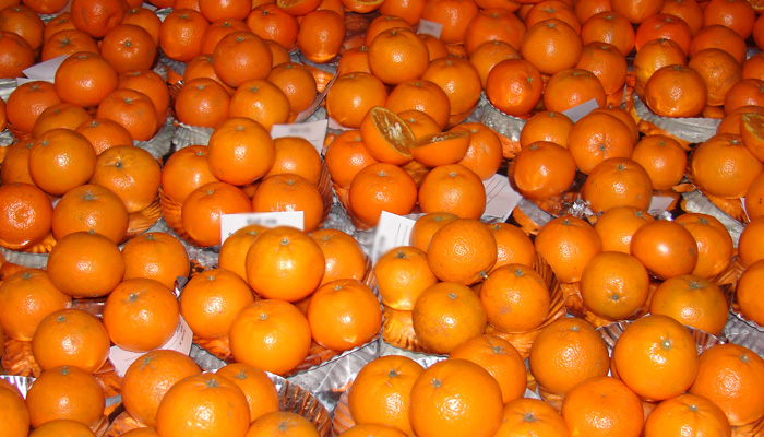 Kinnow exports reach new record high of 370,000 tons