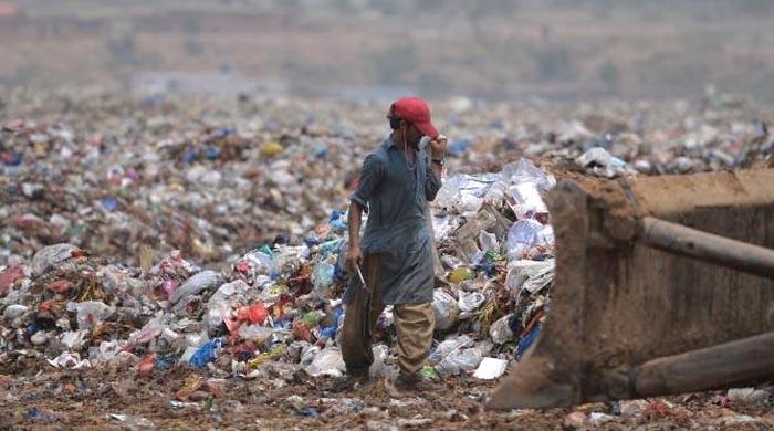 Discovered in Pakistan: Plastic-eating fungus answer to world’s waste ...