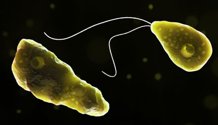 Brain-eating bug claims 13th life in Karachi