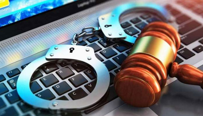FIA organises seminar on cyber financial crimes