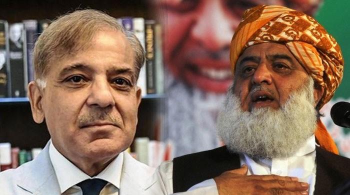 Shahbaz meets with Fazl: APC after consultations inside, outside parliament