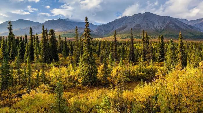 World failing to meet all targets to save nature: UN