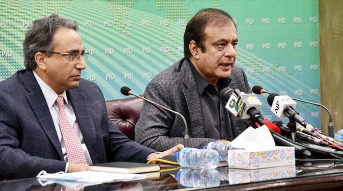 Media campaign being run against govt on LNG: SAPM