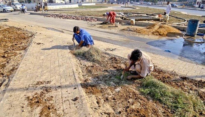 Struggling working class