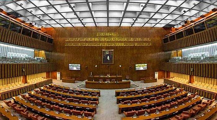 Elections of Senate standing committees held