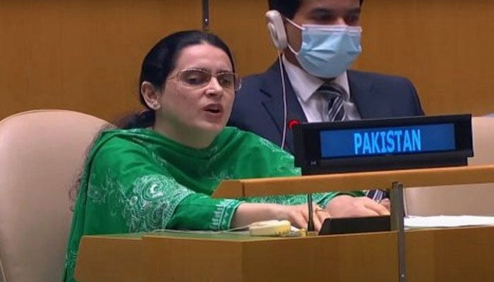 Saima first visually impaired diplomat to speak at UN