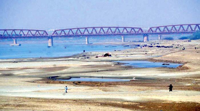 Indus Delta vulnerable to climate change impacts: experts