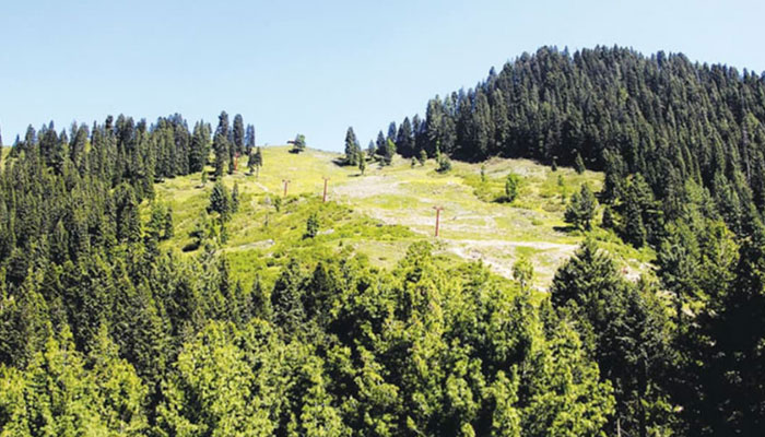 Encroachments, deforestation in Makhnial forest: Survey of Pakistan ...