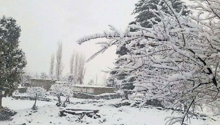 New spell of snowfall starts in Galyat, Naran