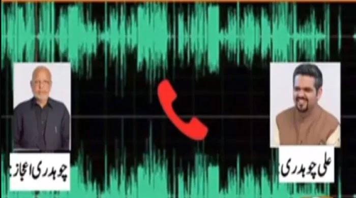 In alleged audios, PTI Tigers told to target army