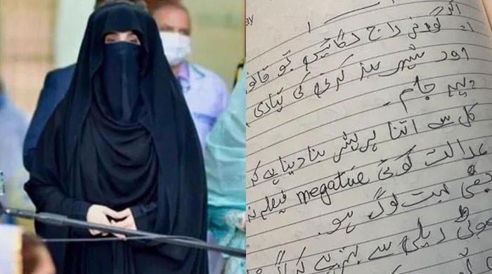 Bushra Bibi’s ‘diary’ reveals extent of her influence on Imran’s politics
