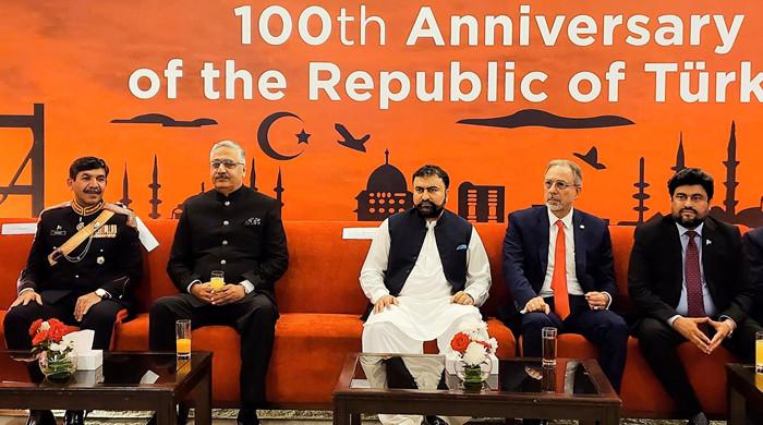 Support of South Asian Muslims to Turkish independence cannot be ...