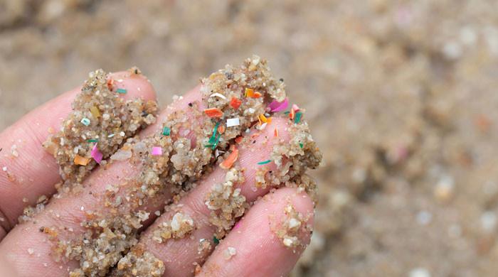 Plastic waste in rivers may carry dangerous microbes: study