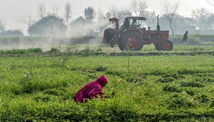 ‘UN FAO’s 40 ambitious projects to revolutionise agriculture in Pakistan’