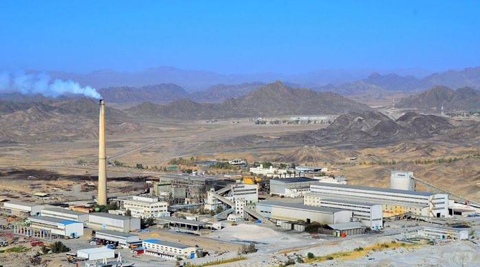 Senate chief’s brother Raziq removed from Saindak firm MD post