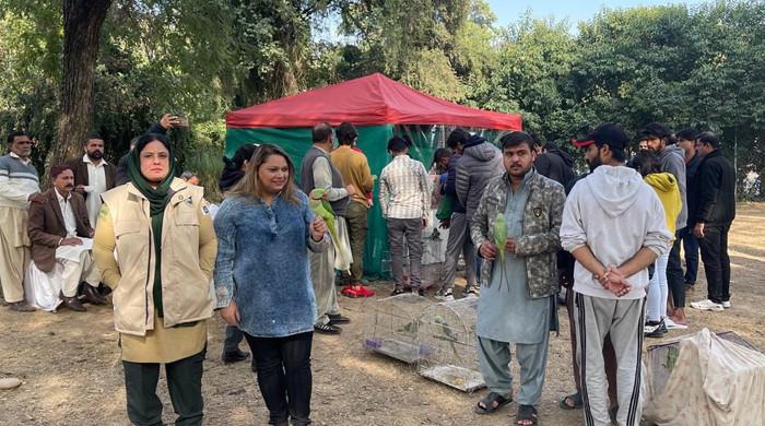 188 rings issued for Alexandrine Parakeets: IWMB