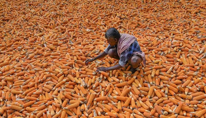 India’s food security problem is also world’s