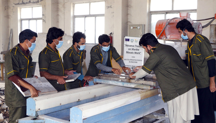 Youths from merged districts imparted marble mosaic training