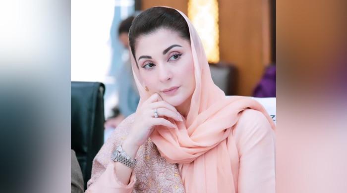 Maryam 6th member of Sharif family making electoral debut from Lahore