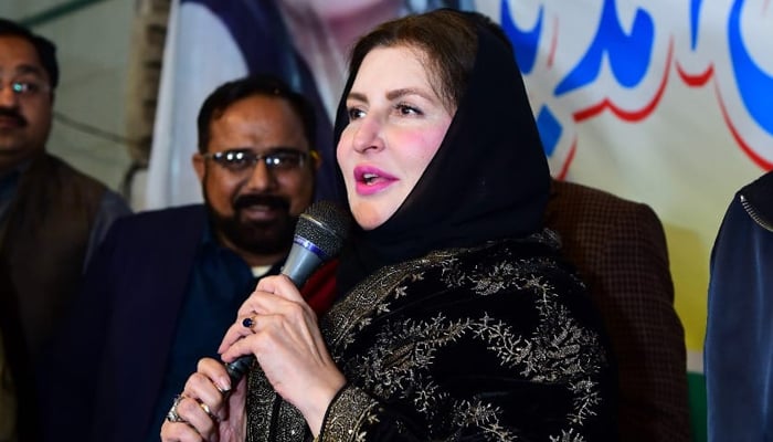 Sumaira quits as Punjab PMLN VP