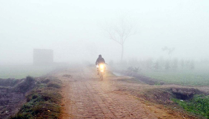 Cold, foggy weather to persist