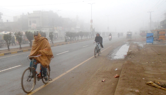Dense fog, cold wave to prevail