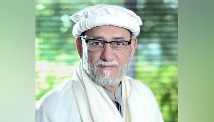 Video showing Rohail’s row with man goes viral