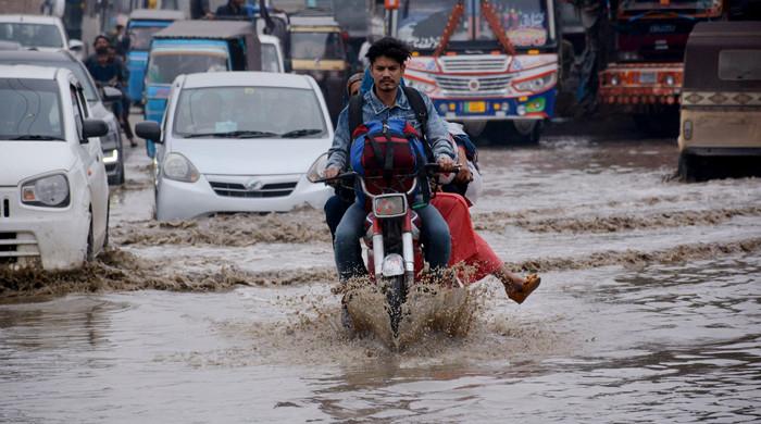 January 2024 witnesses below average rain