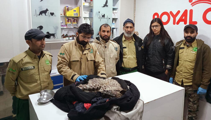 IWMB rescues leopard cub