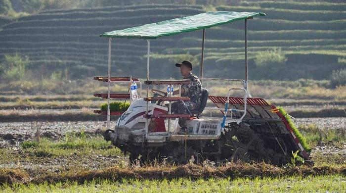 China agriculture modernisation and rural revitalisation-I