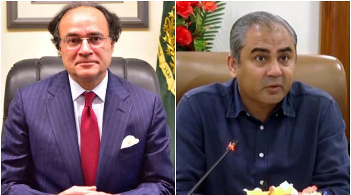 Aurangzeb, Mohsin file nomination papers for Senate polls