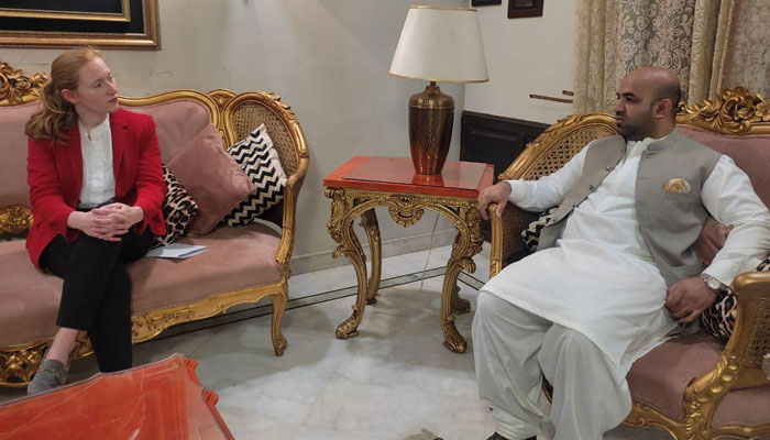 Minister, British diplomat discuss promotion of education