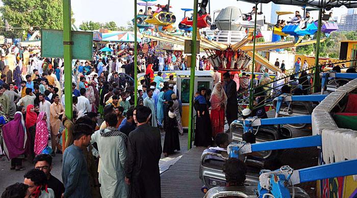 Boy injured after falling off swing in Safari Park