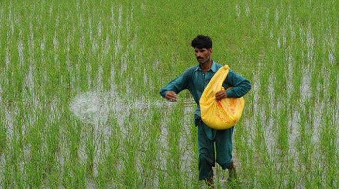 Urea price hike stands as government’s warning falls flat