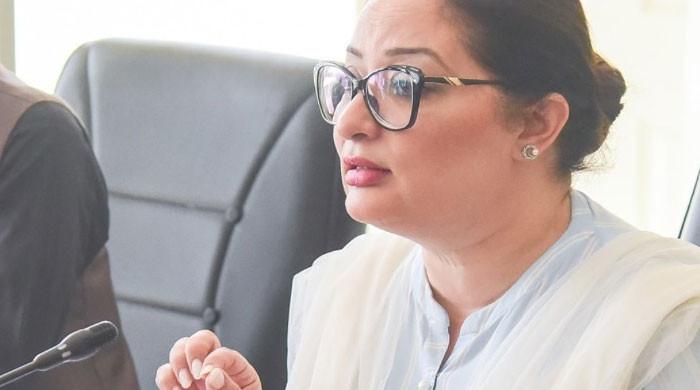 Romina to head task force on global warming