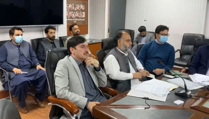 Paediatric and Telemedicine centres to be established in KP