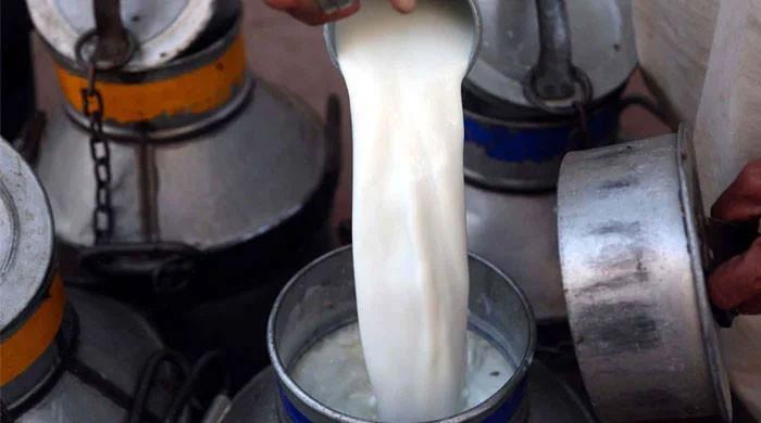 Substandard milk and beverages seized