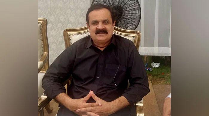 ‘PPP to prove majority party in country’