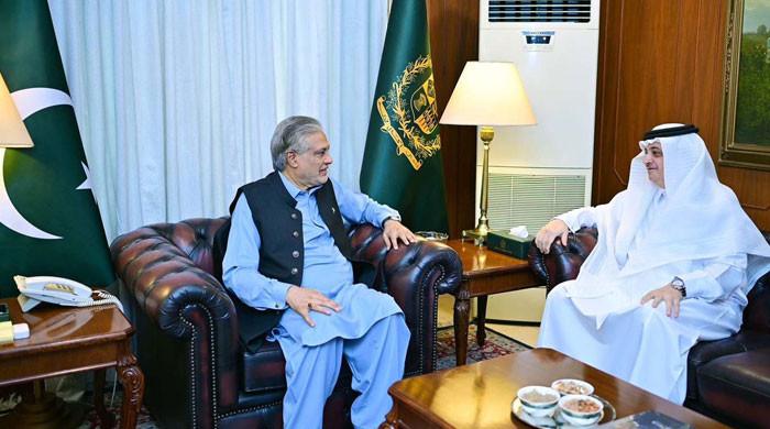 Dar, Saudi envoy discuss education, trade ties
