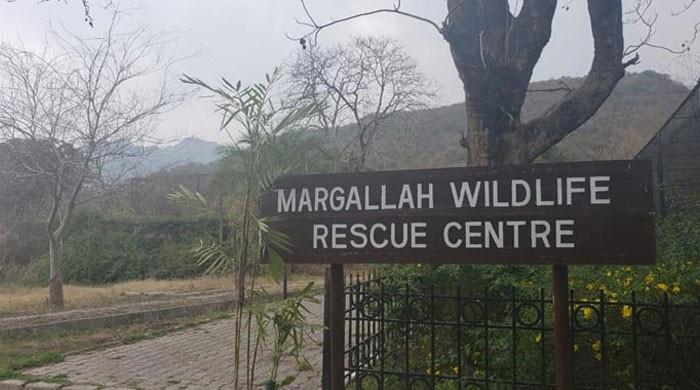 Concerned citizens raise alarm over transfer of IWMB to interior ministry