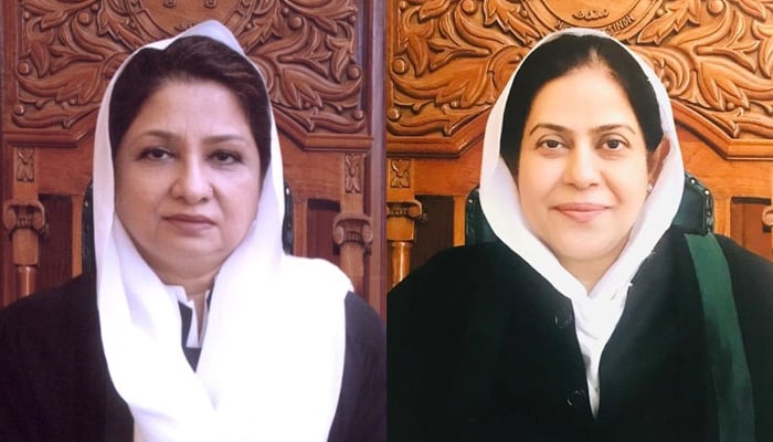 Full court reference held in honour of two retiring female SHC judges