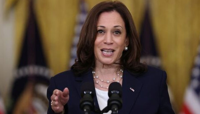 Harris aims to bring the joy at Democratic convention
